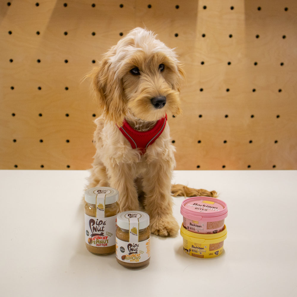 Nut Butter Bundles | Pip & Nut