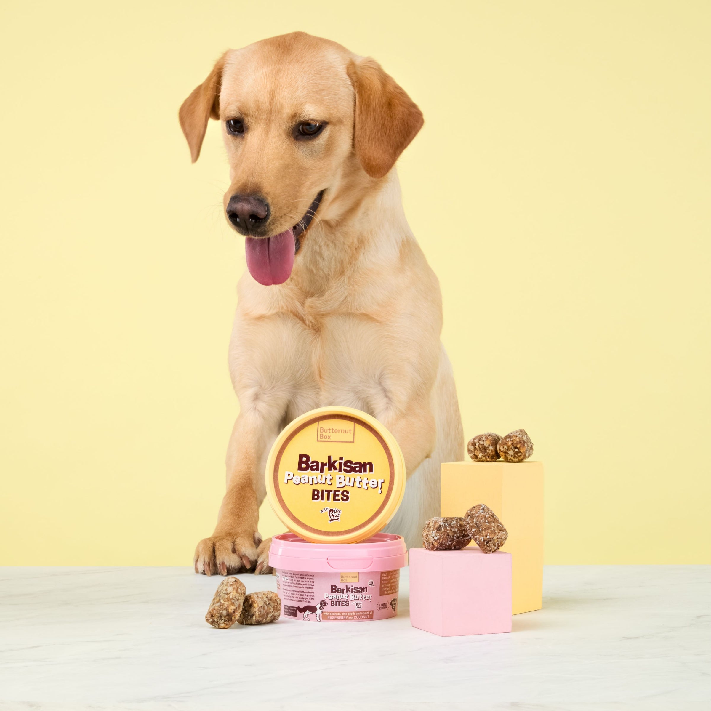 Nut Butter Bundles | Pip & Nut